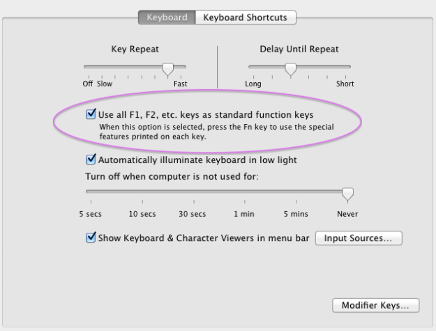 The Function (Fn) key is on the full-size Apple Keyboard | Irwin Kwan